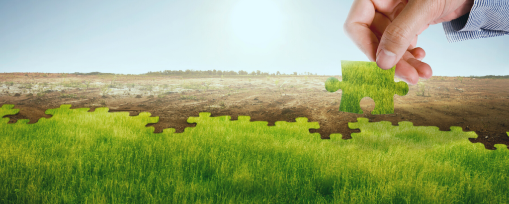 Biofuel & its Applications | Biodiesel | Aris BioEnergy Blog