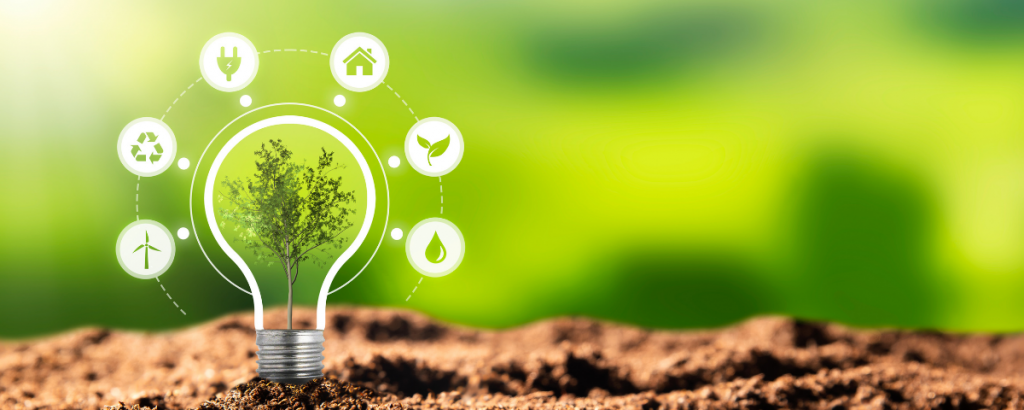 Qué es la Bioenergía? y Ventajas de la Bioenergía | Blog | Aris Bioenergía